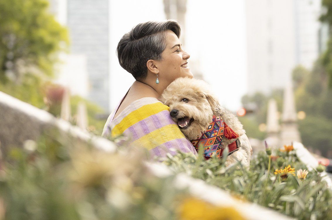 ¿Qué necesitas para sacar a pasear a tu perro?